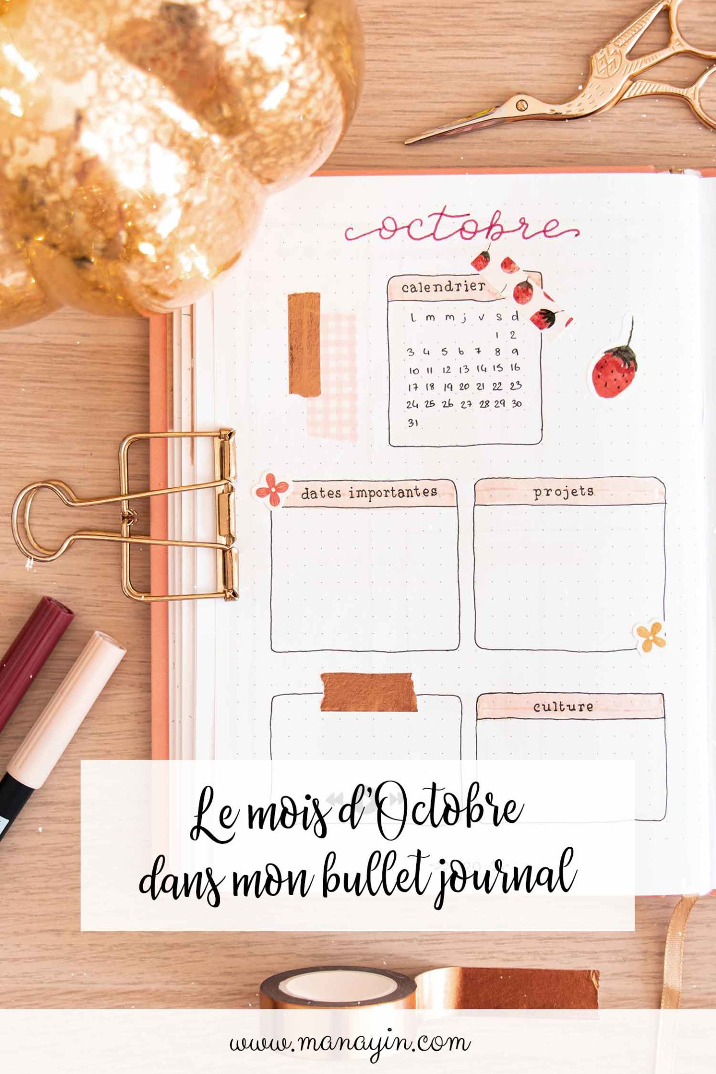 Octobre 2022 dans mon bullet journal – thème automnal - Manayin